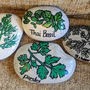 Herb Garden Stones, Painted Rock, Herb Marker, Garden Club Gift ...