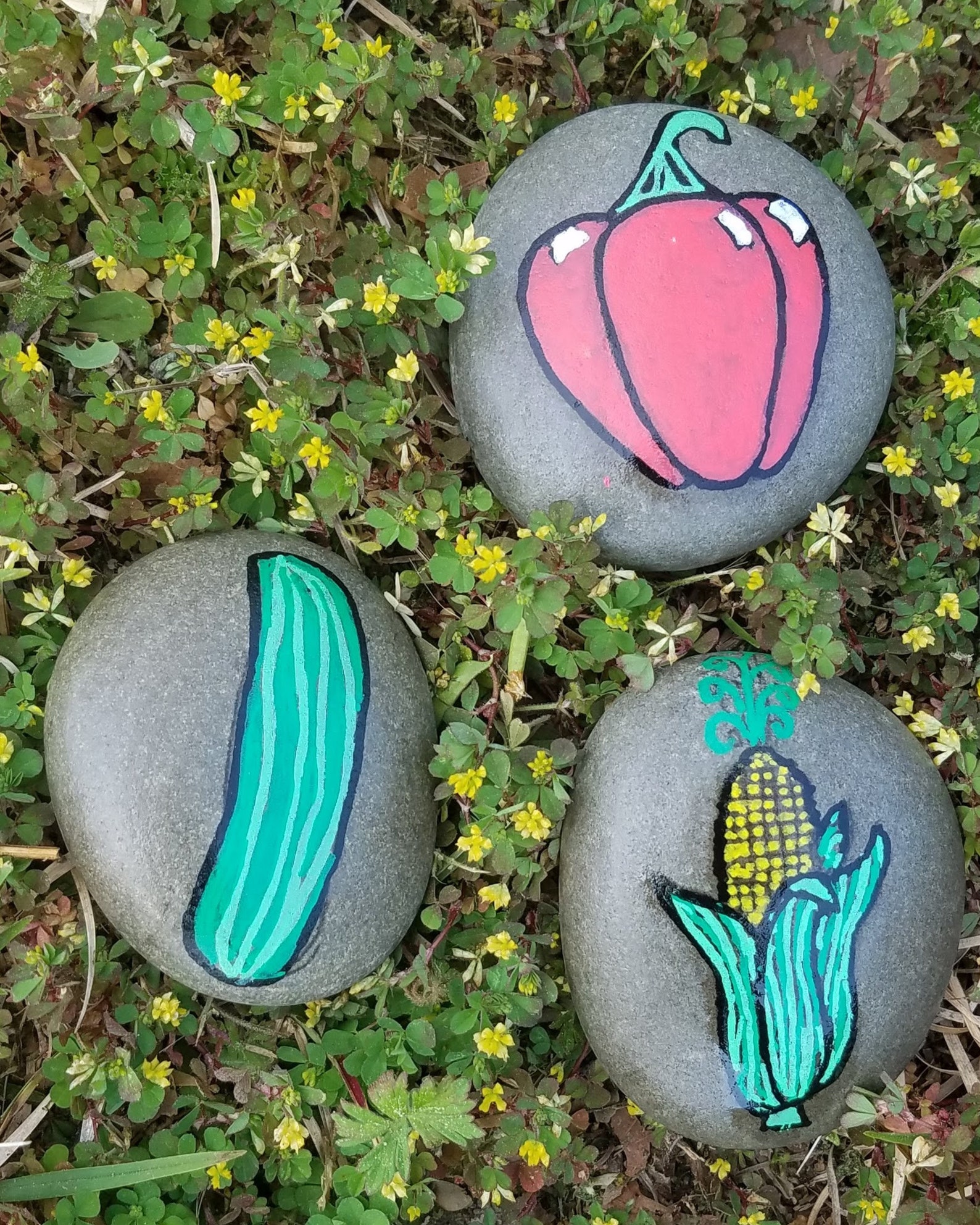 Hand-painted Vegetable Garden Stones Vegetable Markers - Etsy