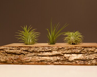 Live Edge Wood Planter | Etsy