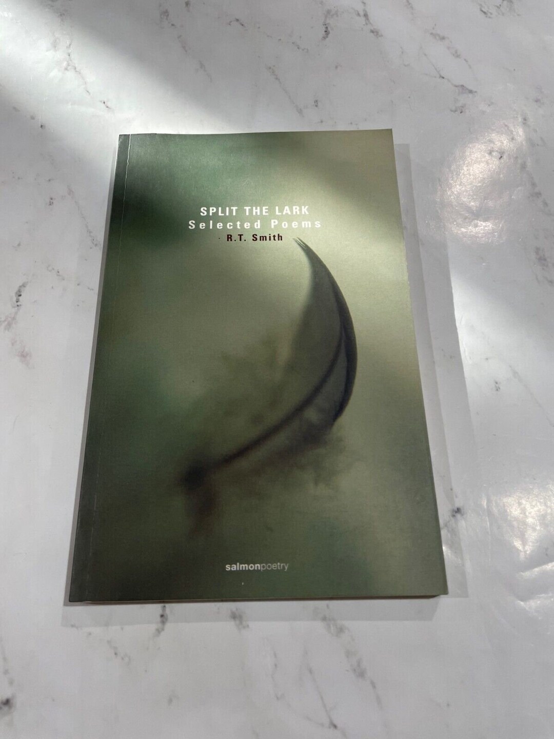 Split the Lark Selected Poems by R.T Smith NEW Paperback 1999 - Etsy