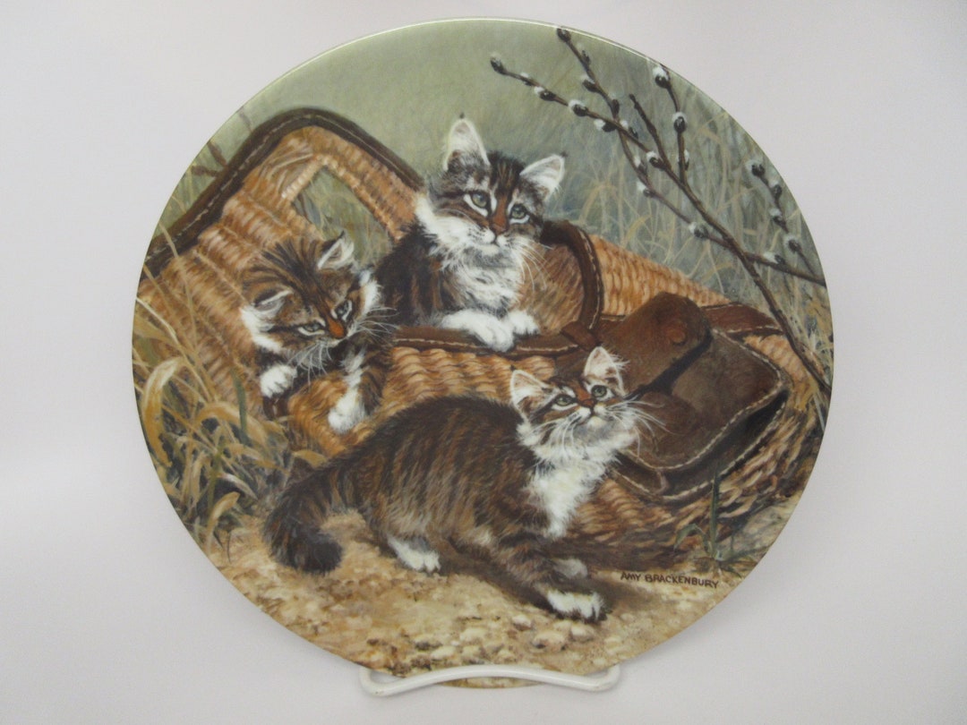 Maine Coons Collector Cat Plate “gone Fishing” by Artist Amy ...