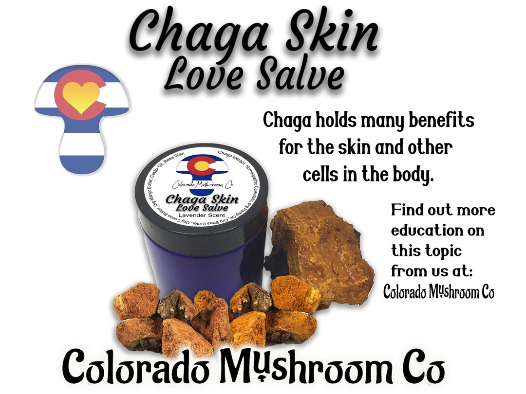 Chaga Skin Love Salve Powerful Skin Care & Maintenance inonotus ...