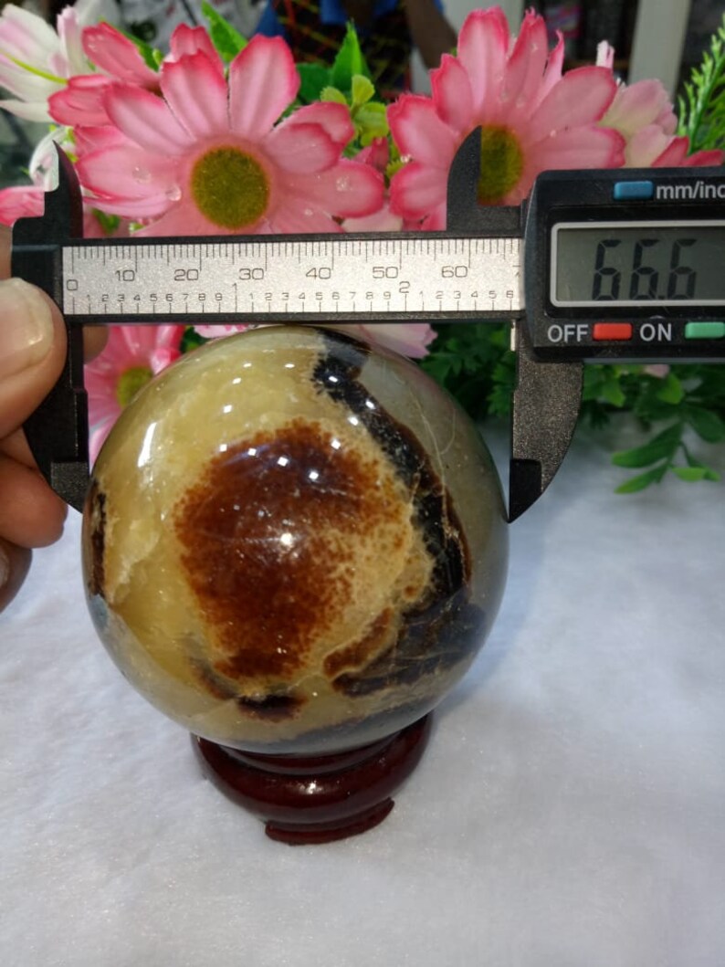 Septaria Stone Sphere Ball 60 MM 70 MM Brown Lines Aragonite | Etsy