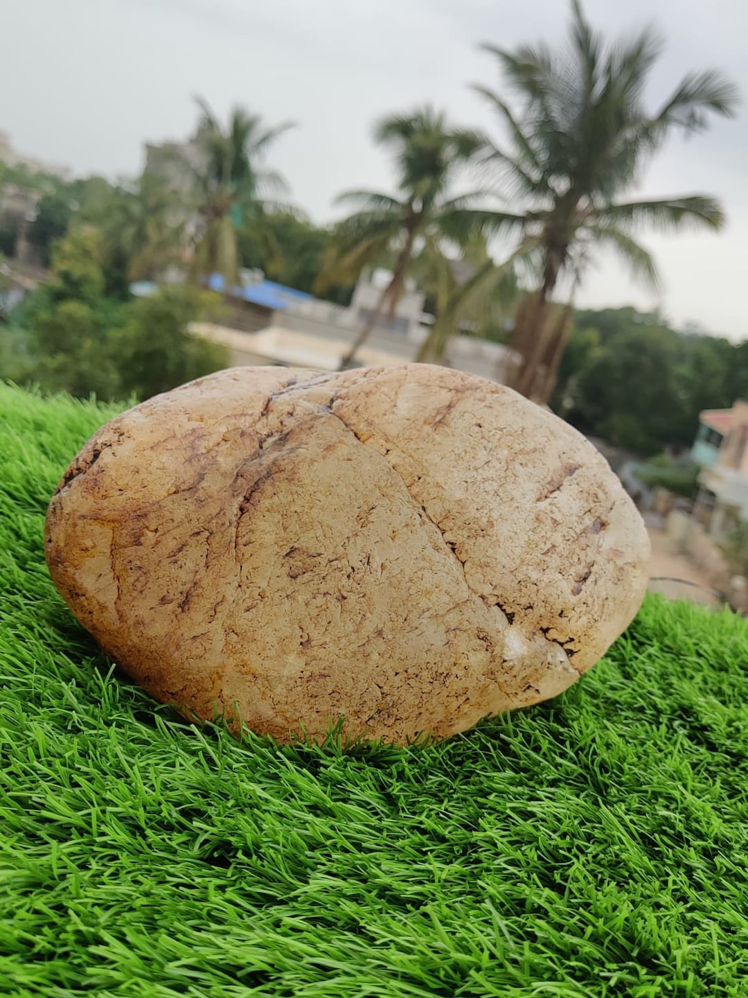 Rarest Taaffeite Crystal Stone Specimen Minerals , Crown Chakra ...