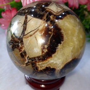 Septaria Stone Sphere Ball 60 MM 70 MM Brown Lines Aragonite, White ...