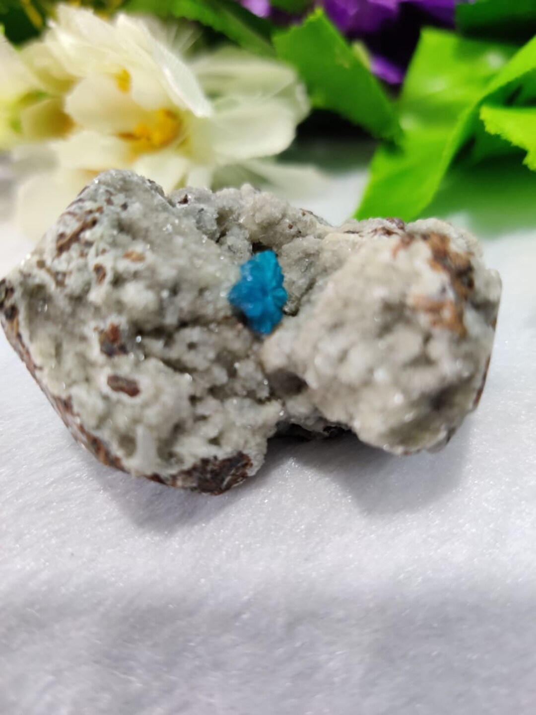 Cavansite Pentagonite Stone Flower on Micro Stilbite Crystal Blessed ...