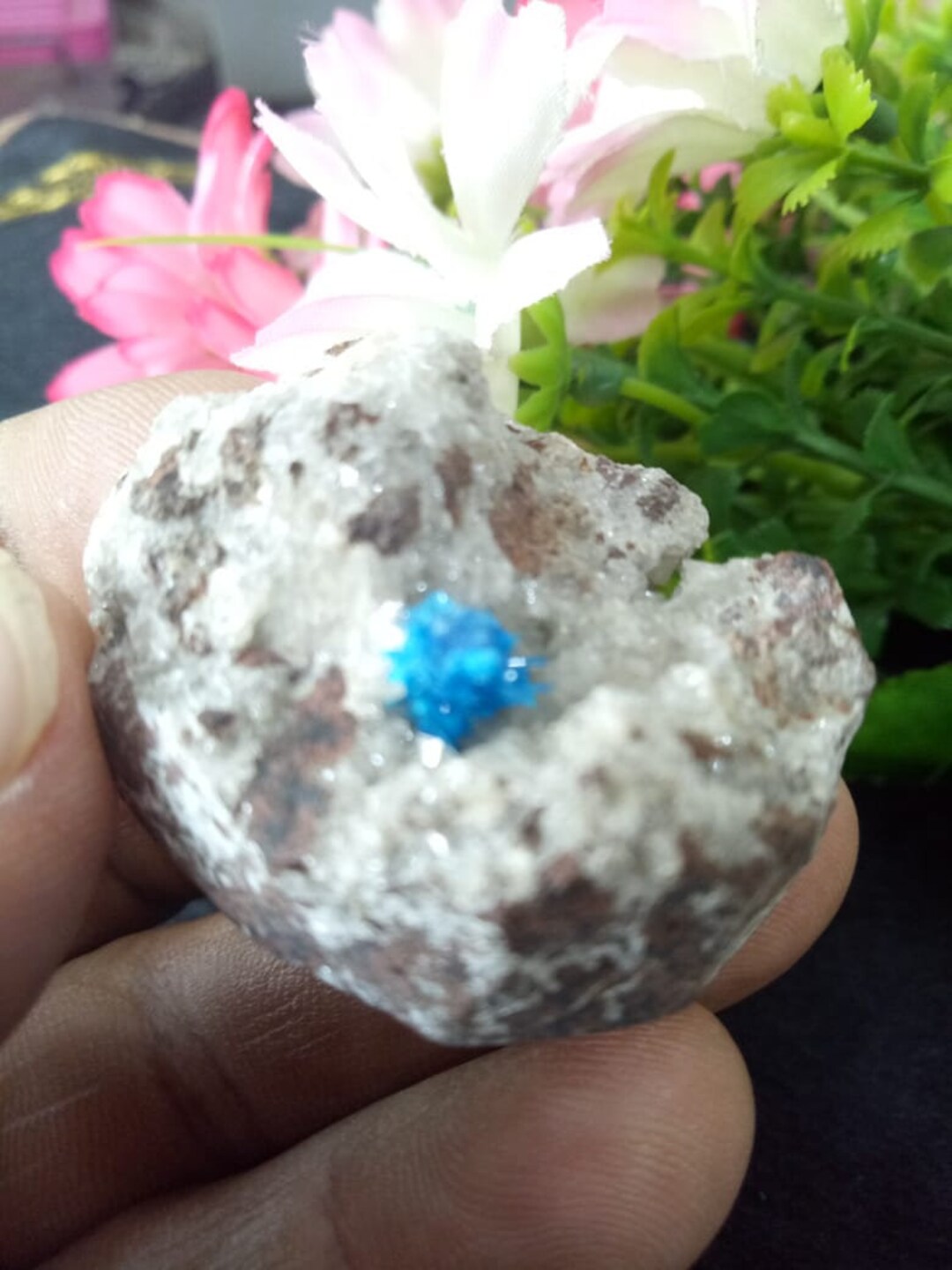 Cavansite Flower Pentagonite Crystal Druzy on Micro Stilbite Blessed ...