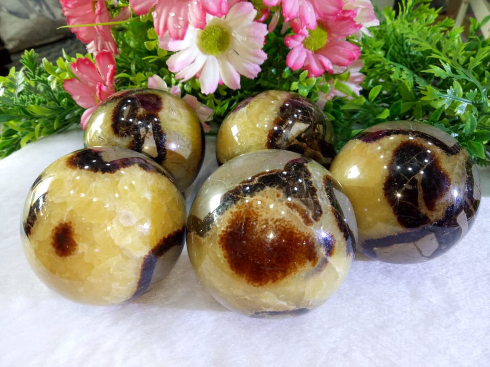 Septaria Stone Sphere Ball 60 MM 70 MM Brown Lines Aragonite | Etsy