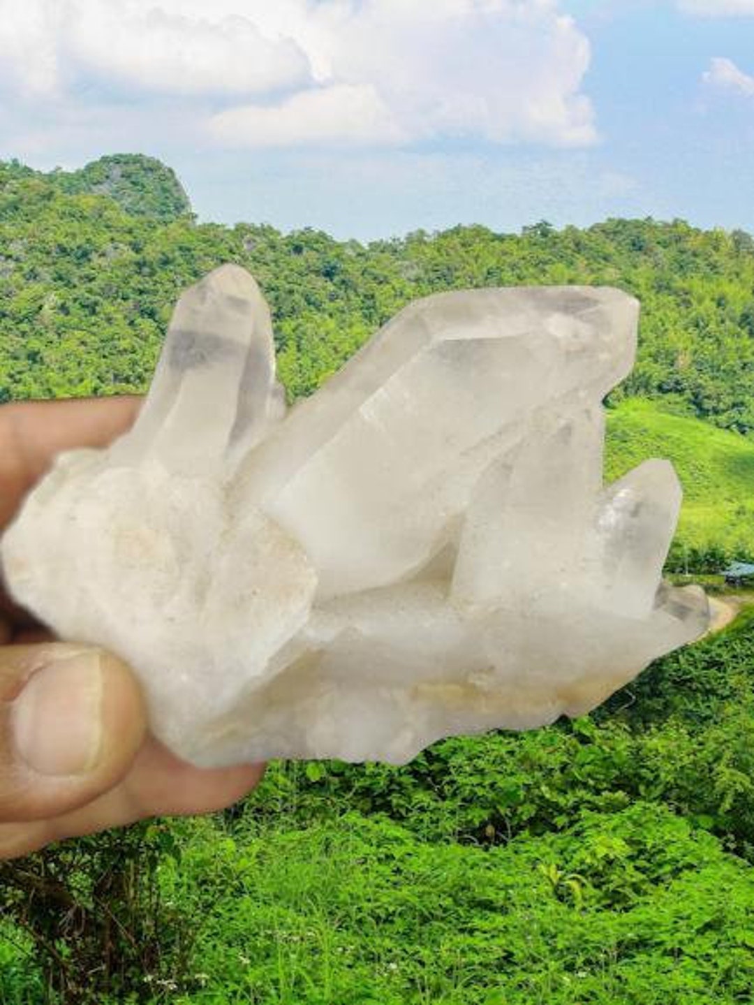 Samadhi Quartz Crystal Family Cluster 319 Grams Record Keeper Synergy ...
