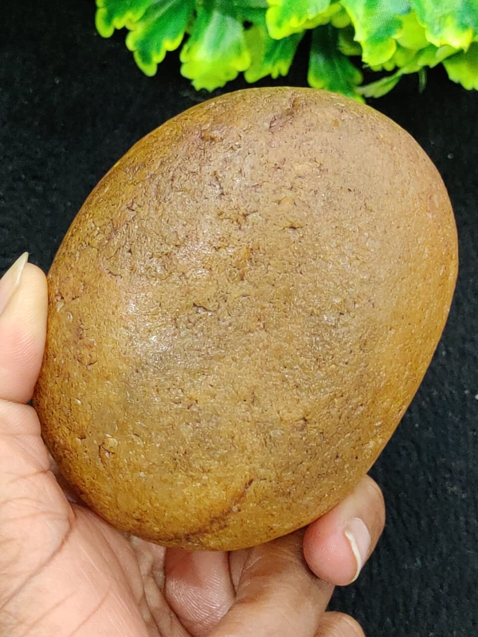 Rarest Taaffeite Crystal Stone Specimen Minerals Crown | Etsy