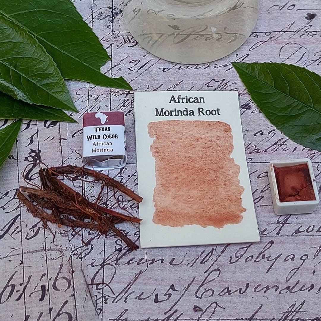 African Morinda Root Red Watercolor - Etsy