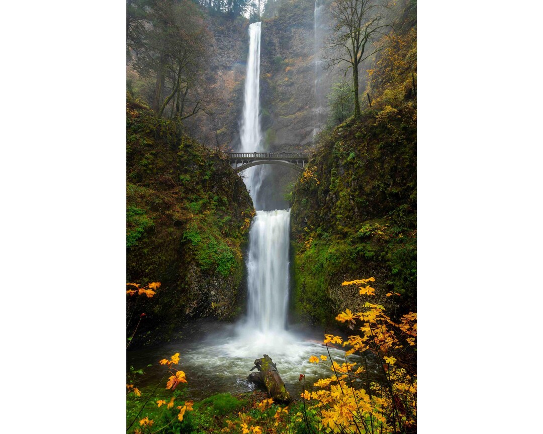 Multnomah Falls Wall Photo Print, Metal Prints, Nature Photography ...
