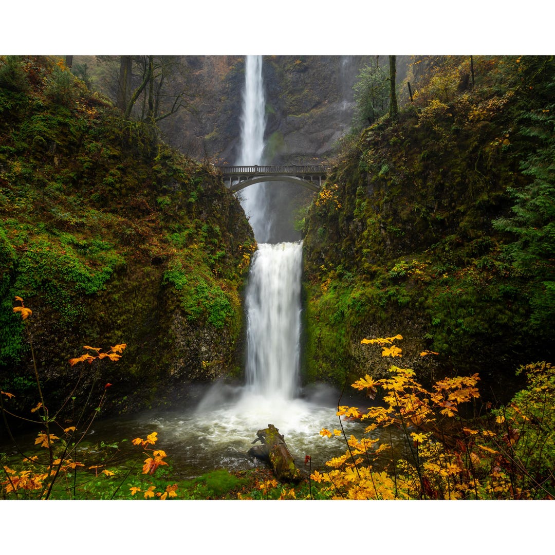 Multnomah Falls Wall Photo Print, Metal Prints, Nature Photography ...