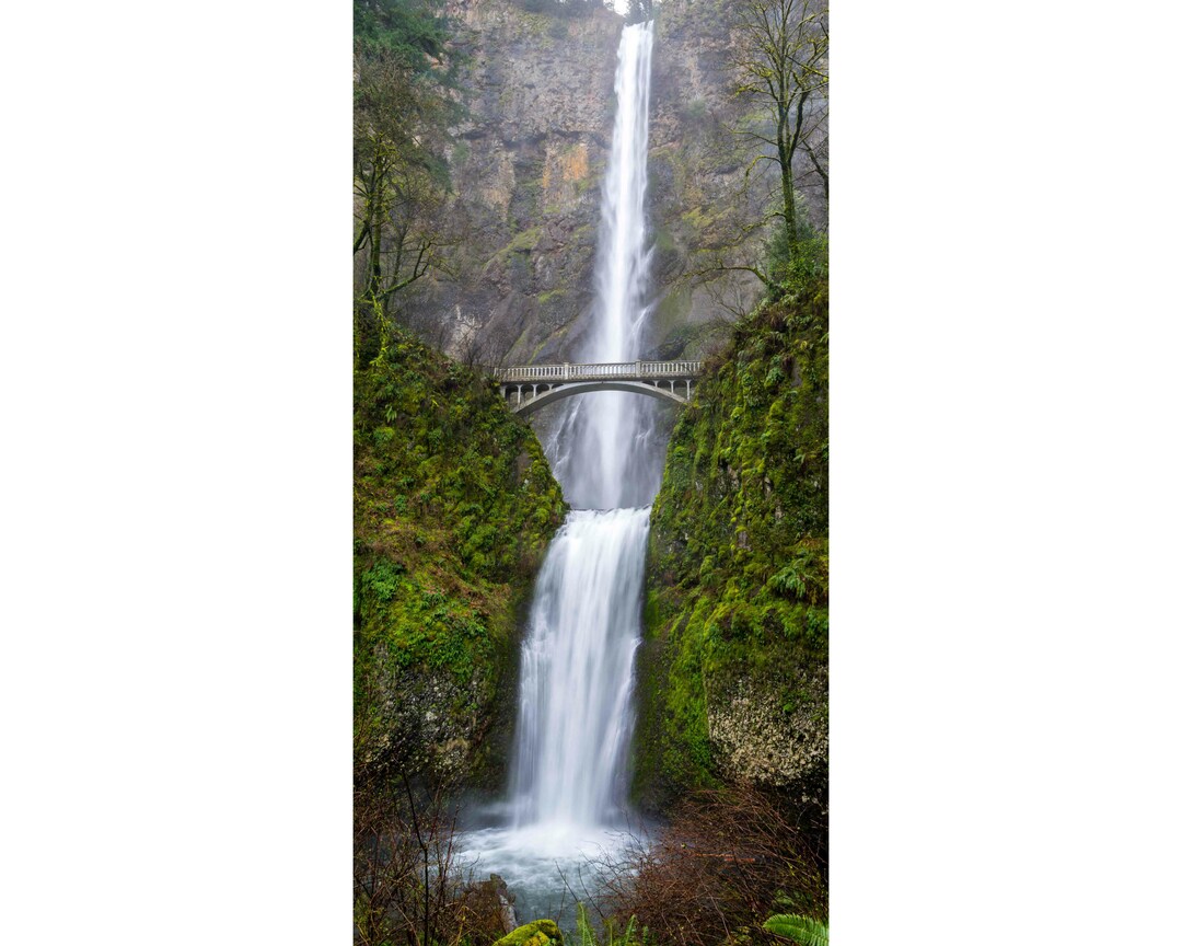 Multnomah Falls Wall Photo Print, Metal Prints, Nature Photography ...