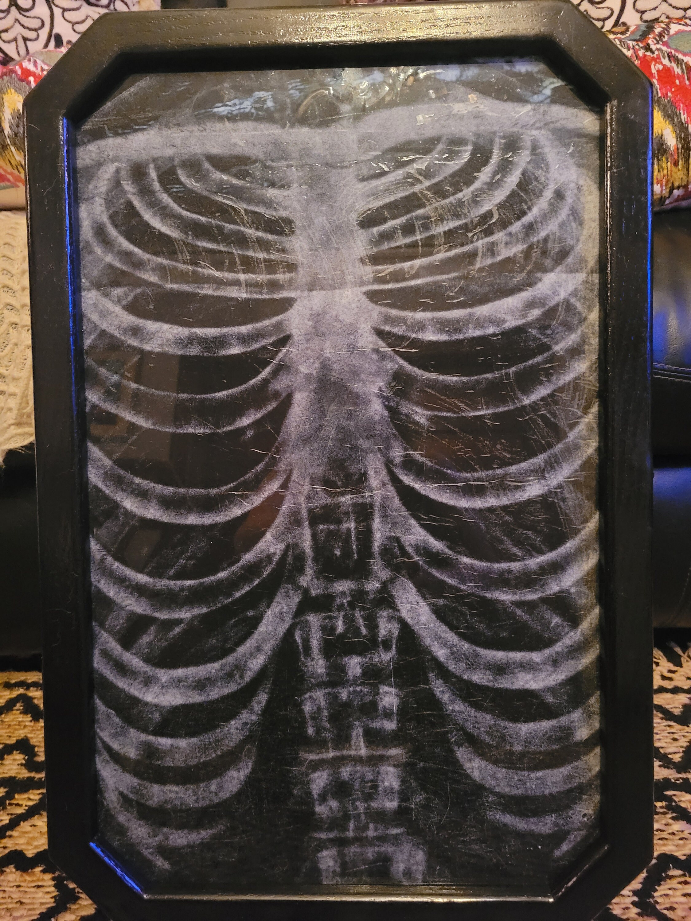 Curiosities and Oddities Wall Cabinet - Etsy