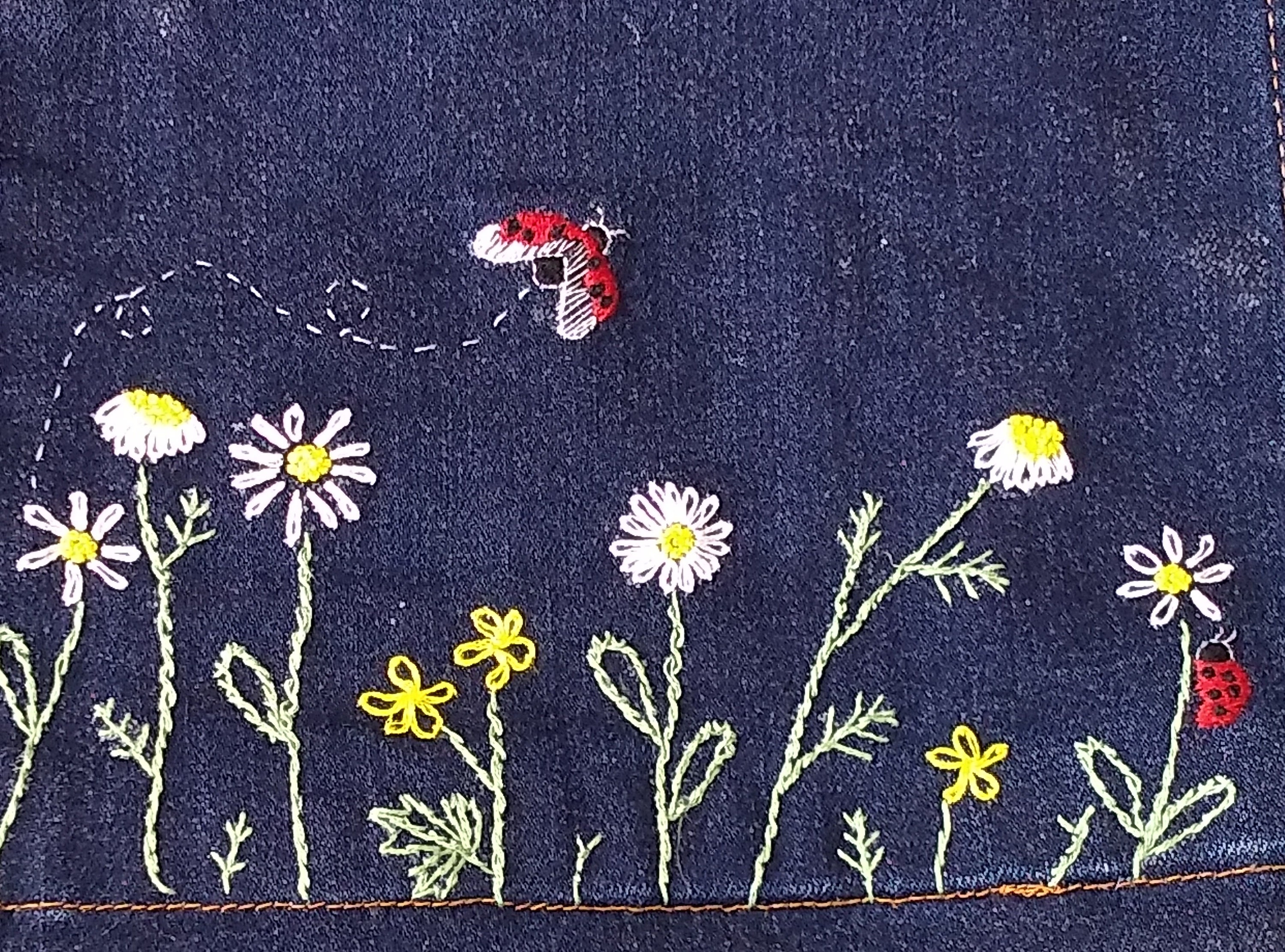 PDF Ladybird Embroidery Pattern and Instructions - Etsy