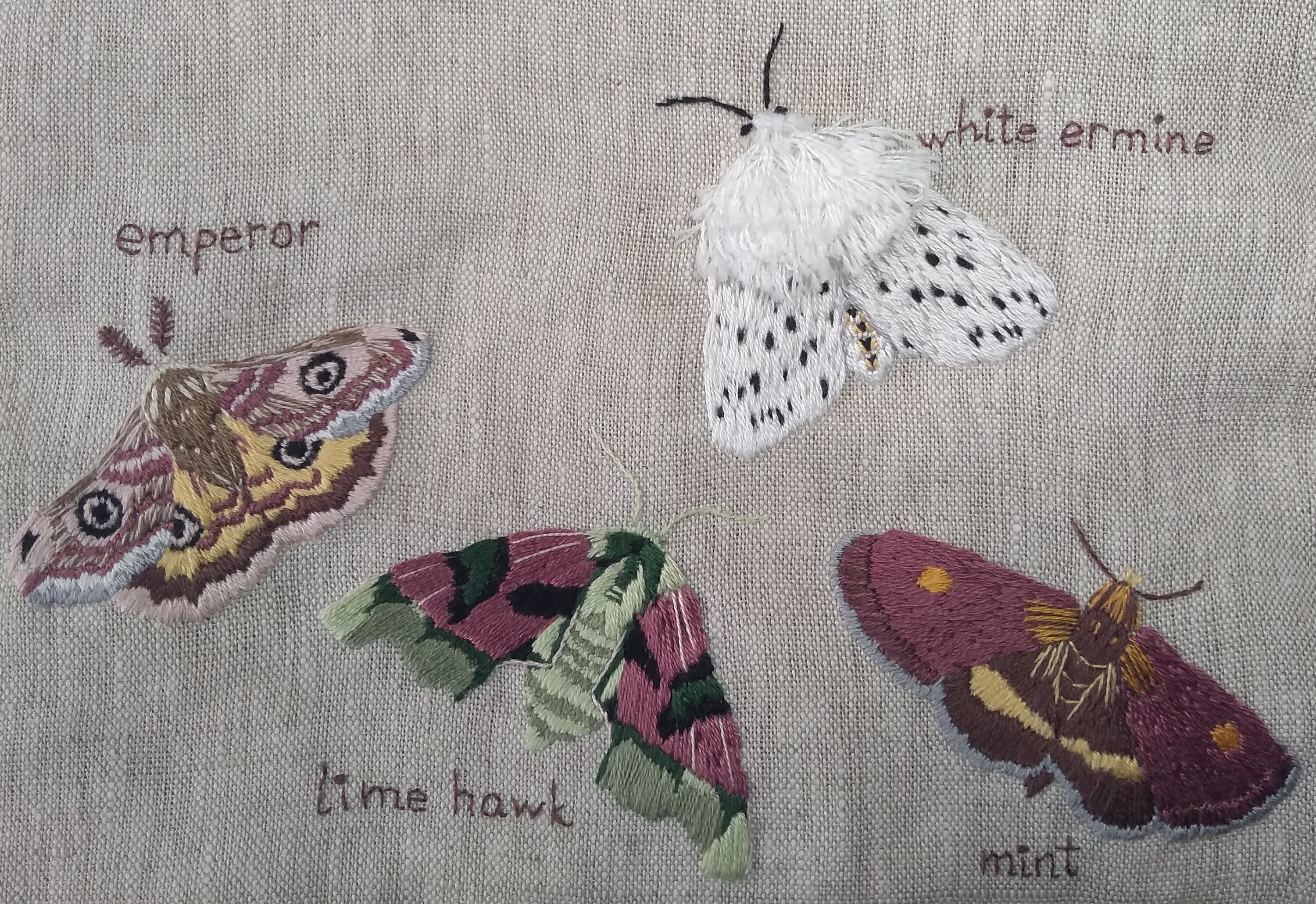 Moths Pencil Case Embroidery Kit - Etsy