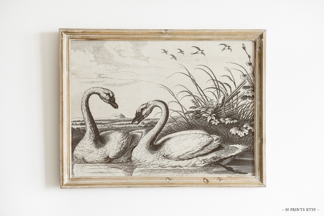 Vintage Swans Print, Vintage Valentines Print, Vintage Valentine's Day ...