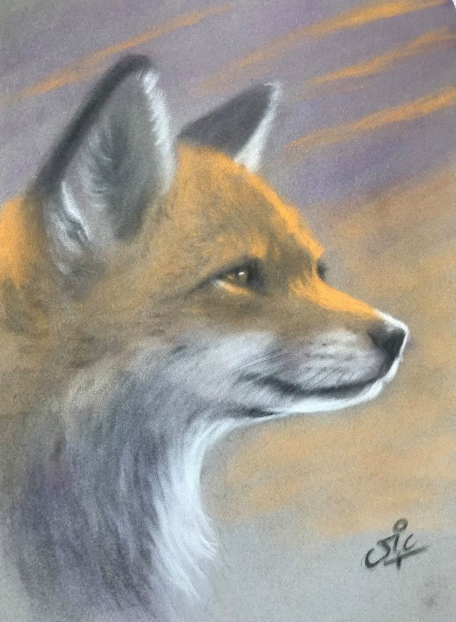 Painting a Fox in Pastel, Art Set, Art Kit, Art Workshop, Fox Art Kit ...