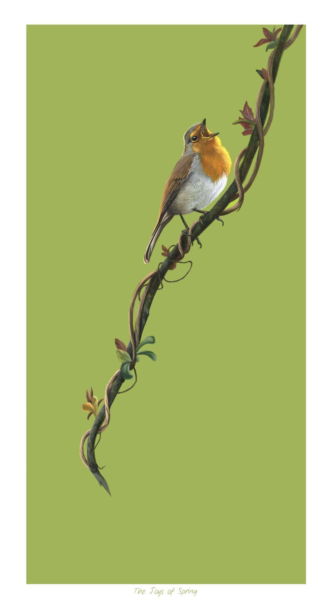 The Joys of Spring Open Edition Robin Print - Etsy