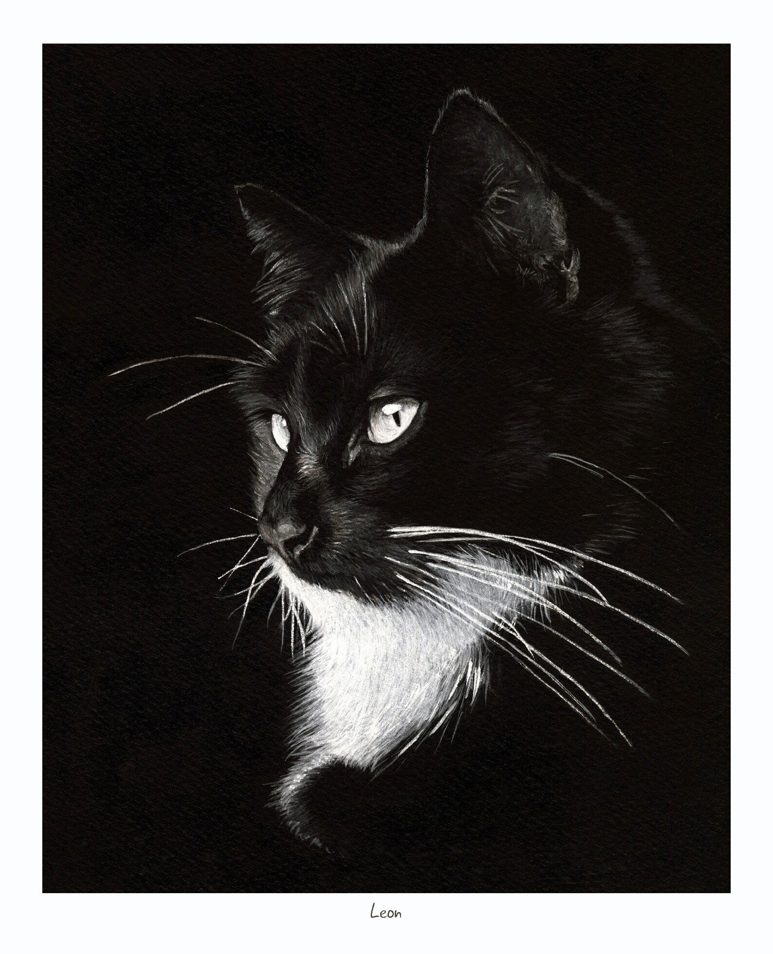 Leon, Open Edition Cat Print, by Vic Bearcroft - Etsy