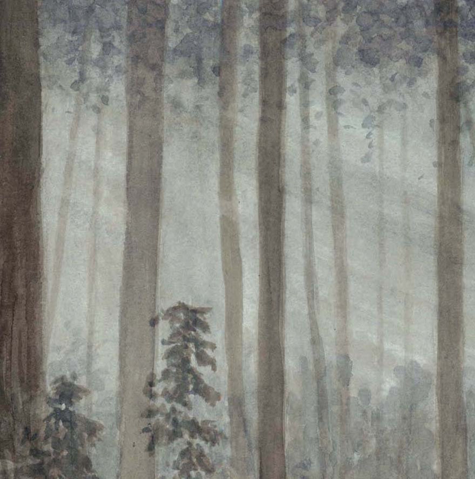 The Company of Wolves Open Edition Print Wolves Red Riding - Etsy