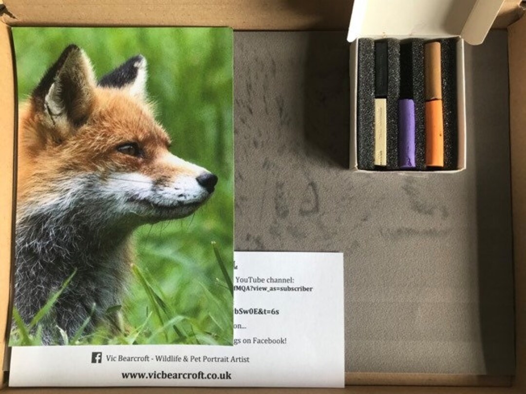 Painting a Fox in Pastel, Art Set, Art Kit, Art Workshop, Fox Art Kit ...