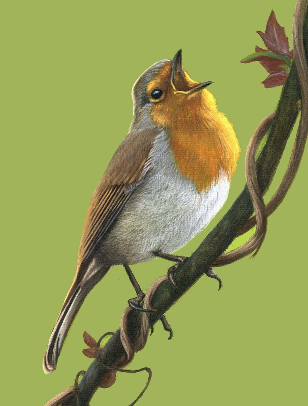 The Joys of Spring Open Edition Robin Print - Etsy