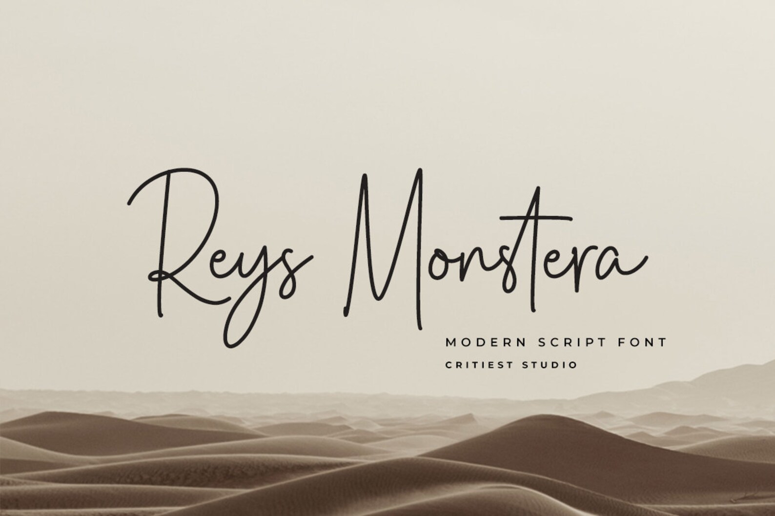 Reys Monstera Modern Script Font Monoline Script Logo - Etsy
