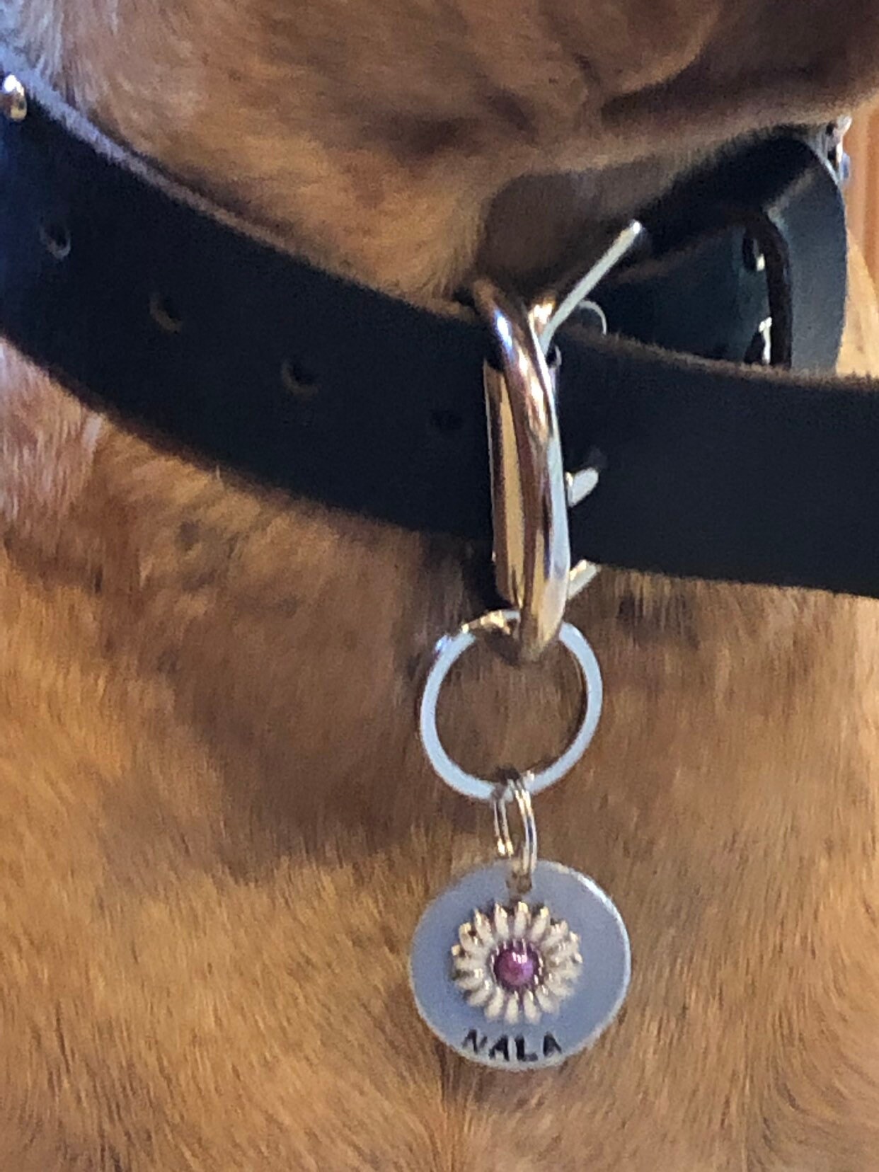 The Daisy Tag Hand-stamped Pet dog tag dog ID | Etsy