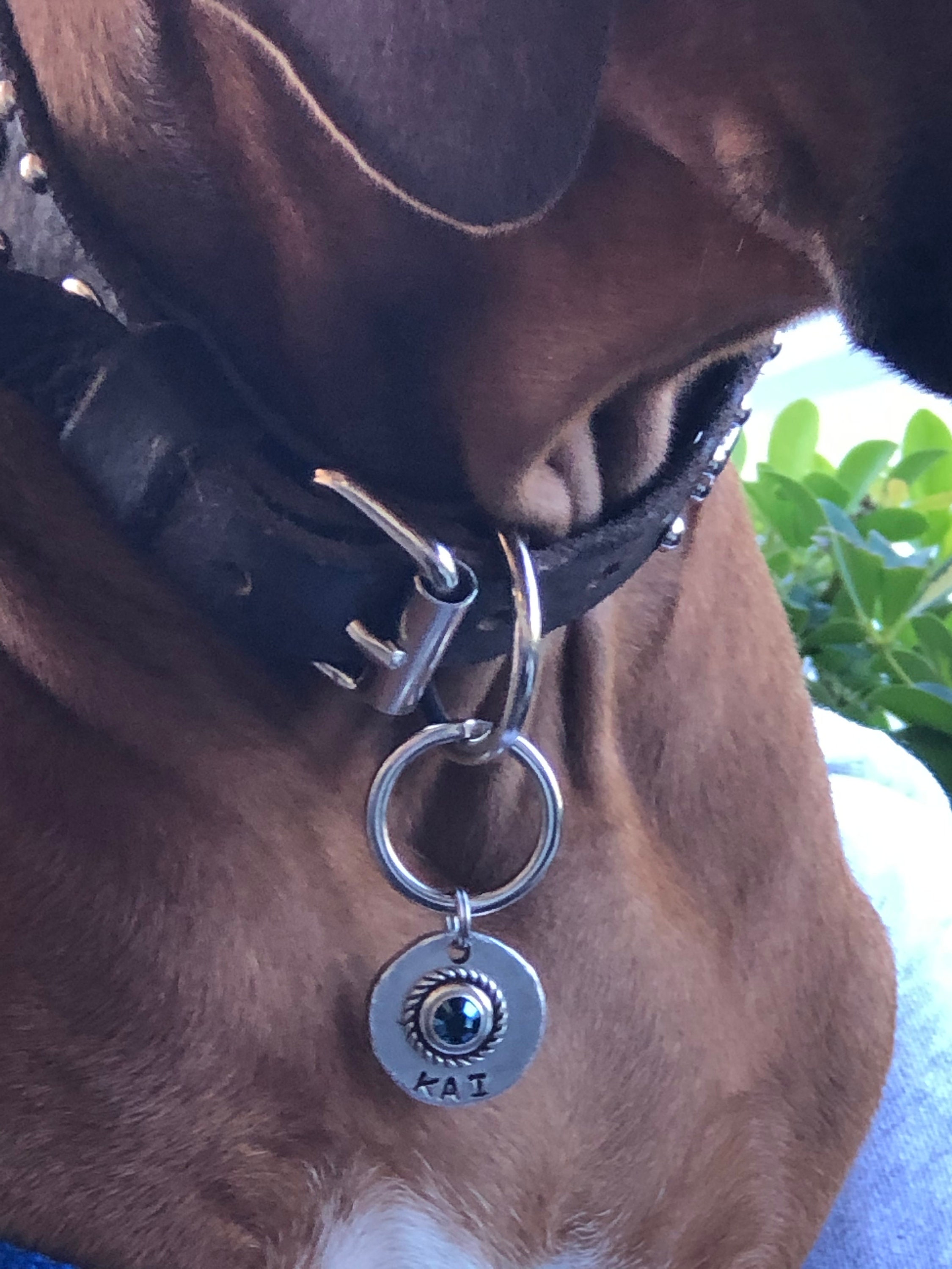 Swarovski Crystal Dog Tag – Hand Stamped Personalized Pet ID, Roped ...