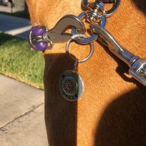 Dog Tag With Turquoise Swarovski, Handmade Dog ID, Large Personalized ...