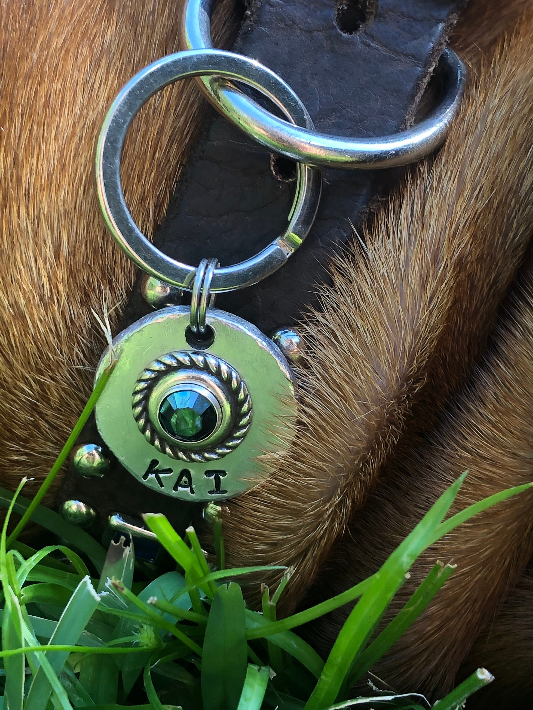 Swarovski Crystal Dog Tag – Hand Stamped Personalized Pet ID, Roped ...