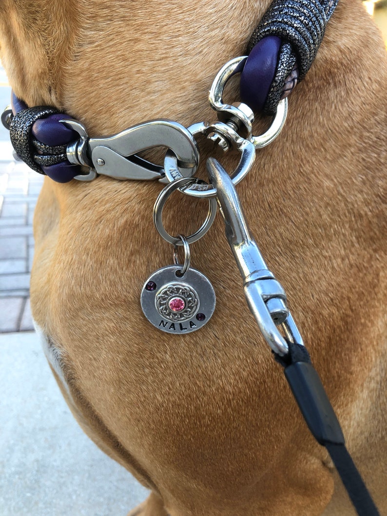 Dog Tag With Turquoise Swarovski Handmade Dog ID Large - Etsy