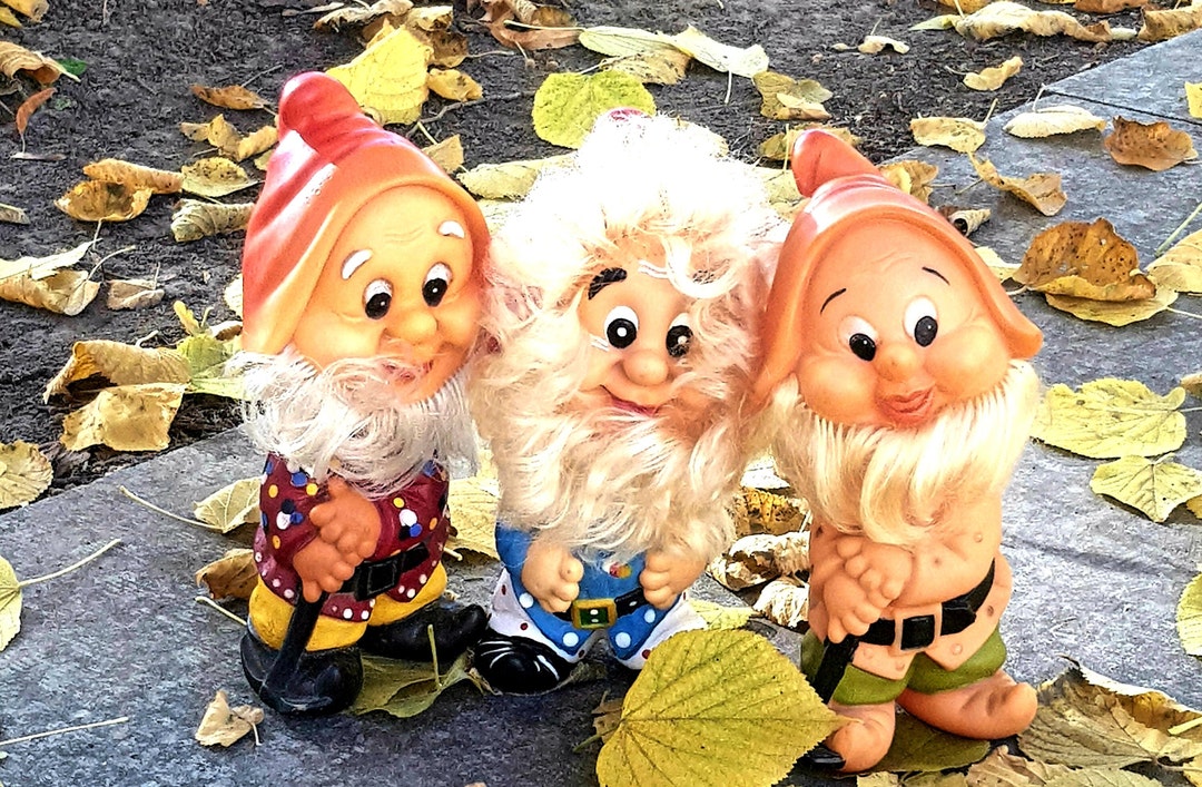 Set of Rubber Gnomes Vintage Toy USSR Toy Gnome USSR - Etsy