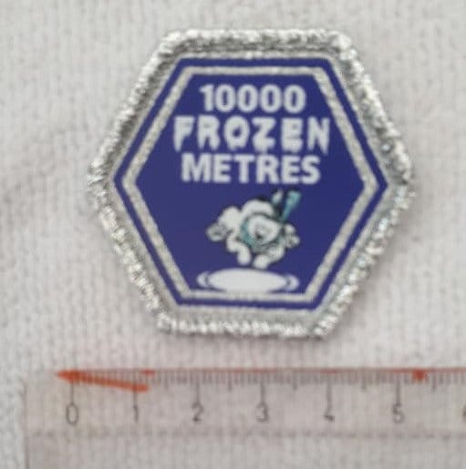 Frozen Swim Distance Badges - Etsy UK