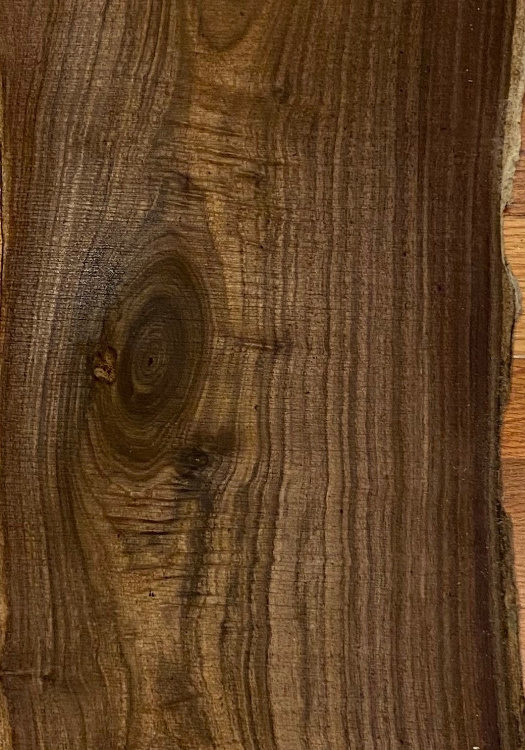 Home & Hobby Black walnut 6-10 x 32 Perfect for laser cut Walnut Slabs ...