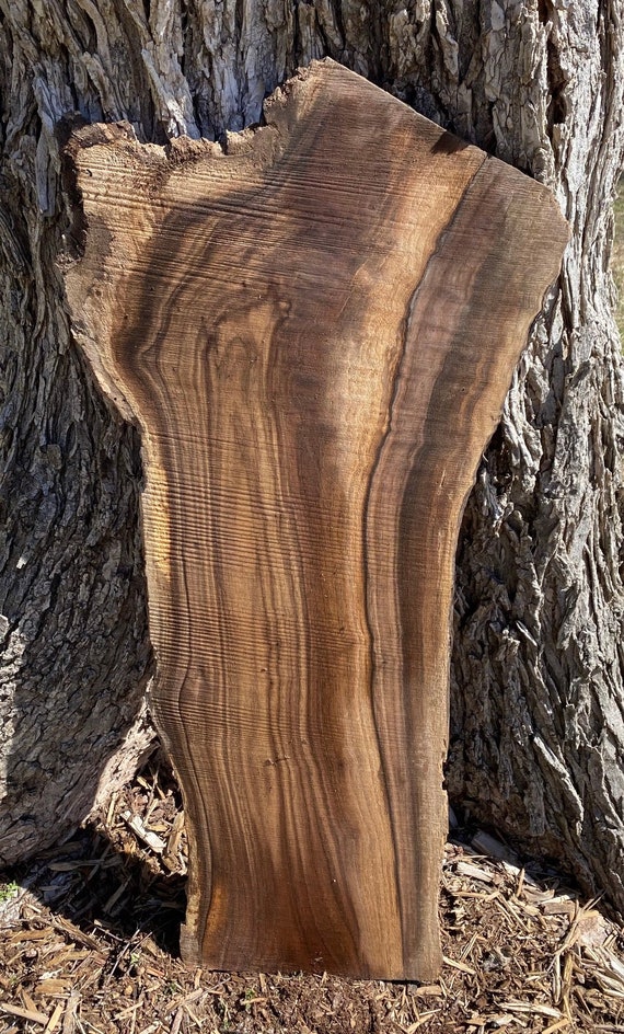 Home & Hobby Black walnut 6-10 x 32 Perfect for laser cut Walnut Slabs ...