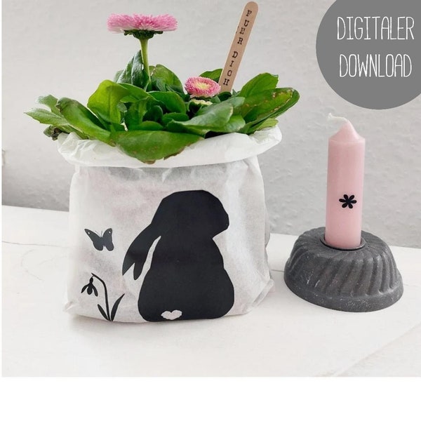 Floppy Ear Rabbit Svg - Etsy