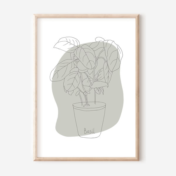 Basil Print - Etsy