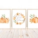 Hello Autumn Decor Set of 3 Pumpkin Prints, Trio Design. Autumn Home ...