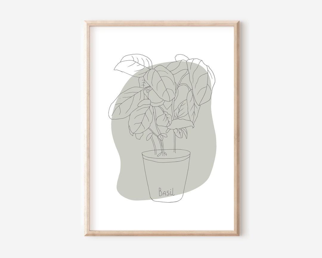 Basil Print Line Art, Kitchen Herb Wall Art Basil Pot. Botanical Home ...