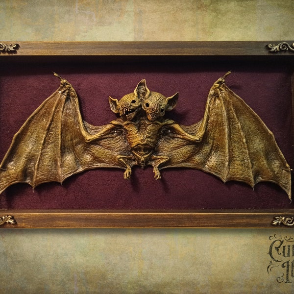 Bat Taxidermy - Etsy