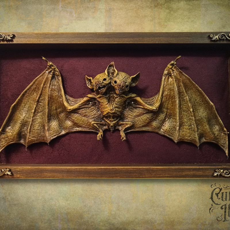 Bat Taxidermy - Etsy
