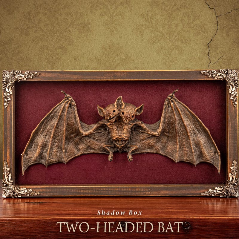 Cursed Taxidermies - Etsy