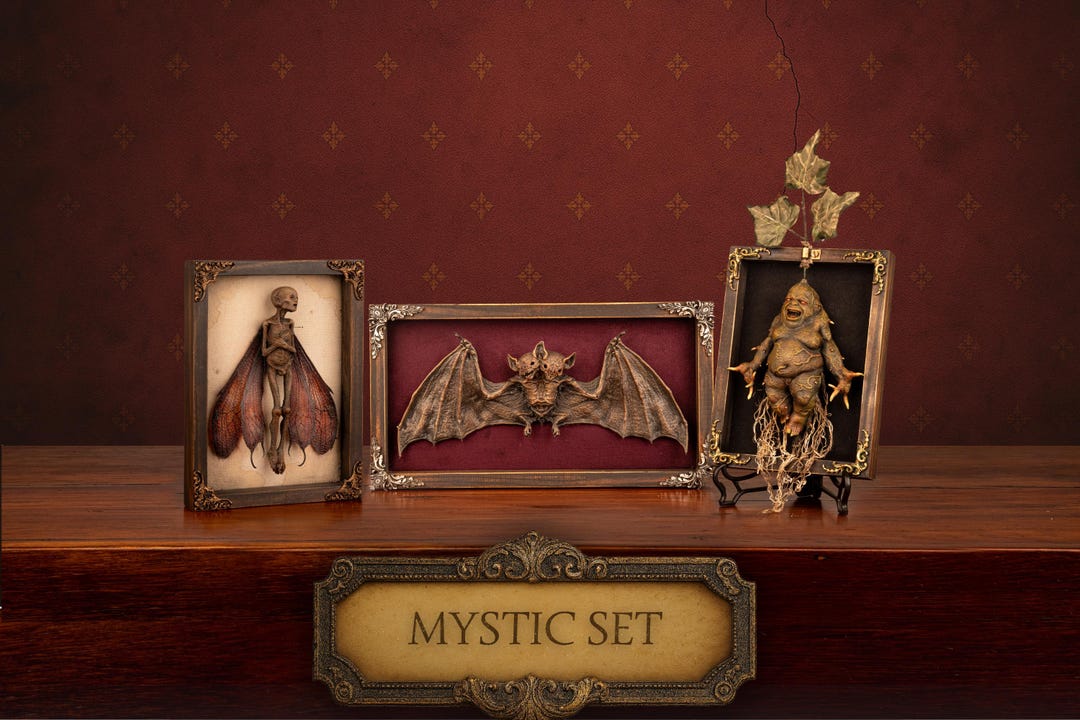 Oddities Set – Mummified Fairy, Two-headed Bat & Mandrake Root - Etsy