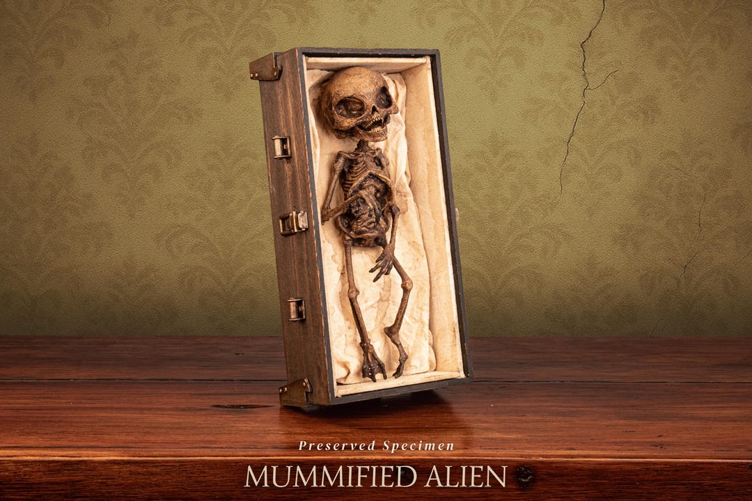 Mummified Alien Specimen – Nazca UFO Relic Display - Etsy