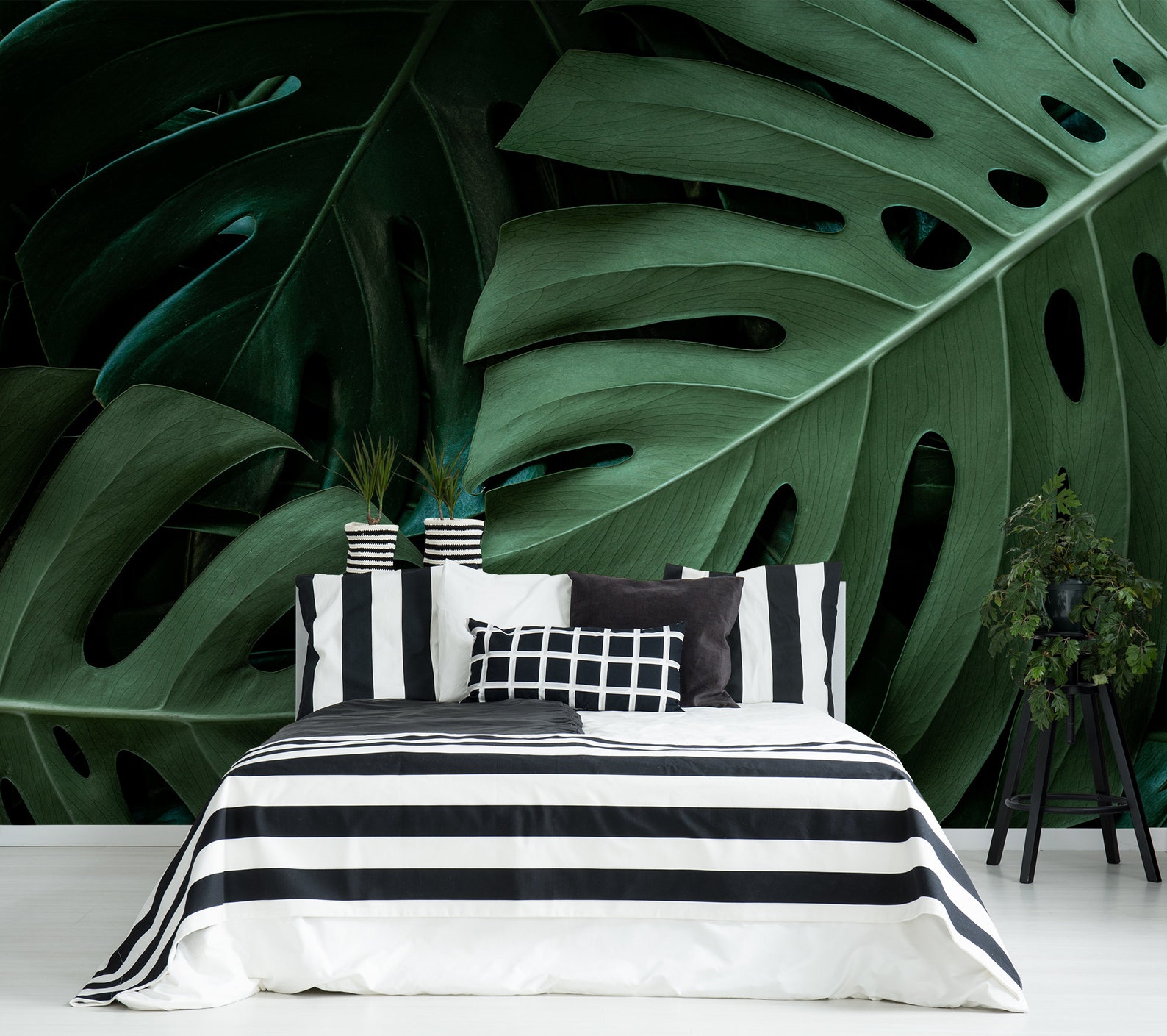 Modern Tropical Monstera Leaf Wall Mural, Peel and Stick Removable ...