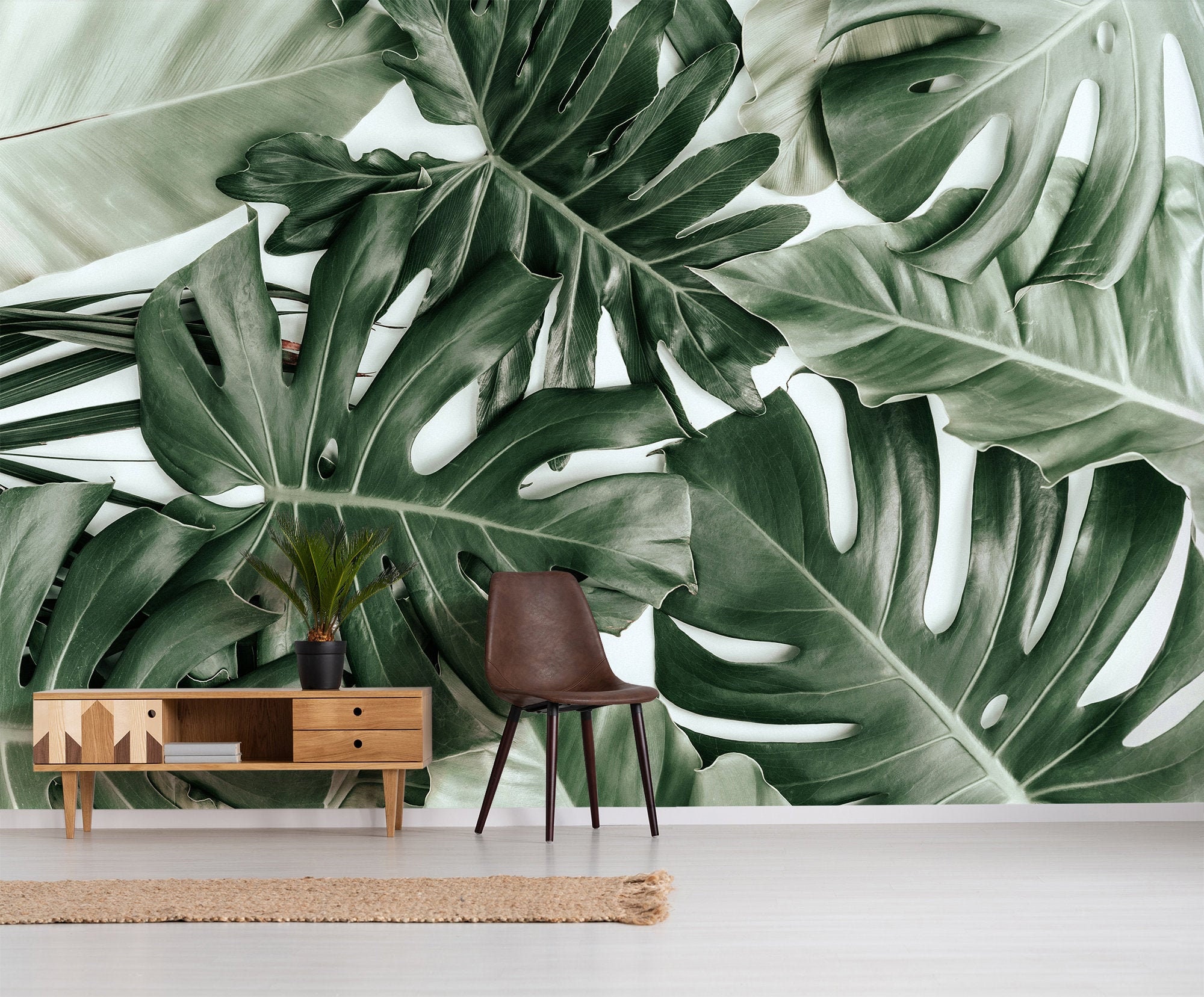 Monstera Leaf Wall Mural Peel and Stick Tropical Wallpaper - Etsy