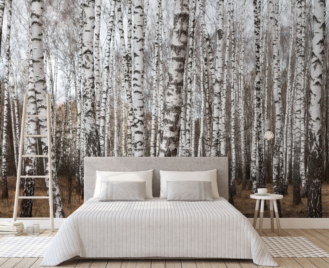 Birch Trees Forest Wall Mural, Self Adhesive Removable Wallpaper ...